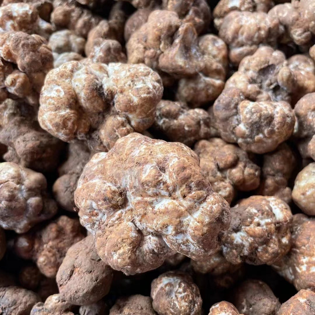 Fresh White Truffles – SpoonShock